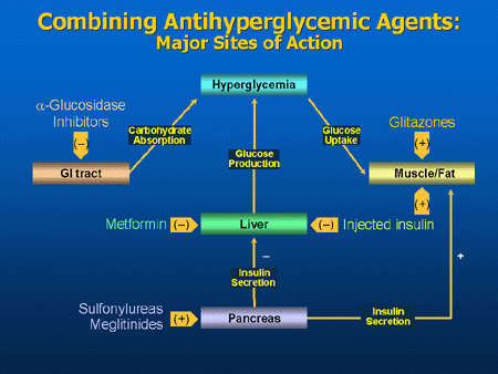 The Promise of New Hormone Therapy