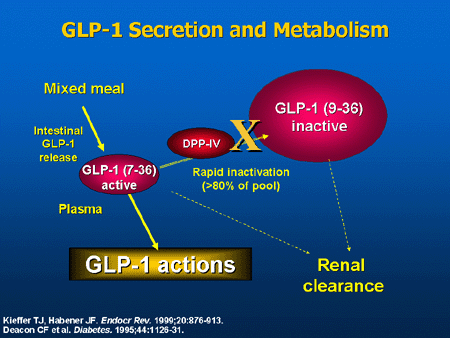 The Promise of New Hormone Therapy
