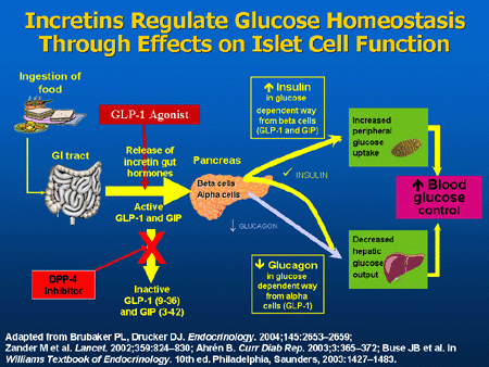 The Promise of New Hormone Therapy