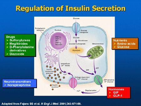Diabetes and the GI Tract: Important Interrelationships