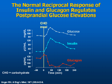 Diabetes and the GI Tract: Important Interrelationships