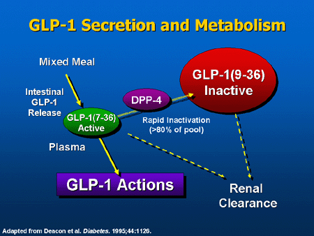 Diabetes and the GI Tract: Important Interrelationships