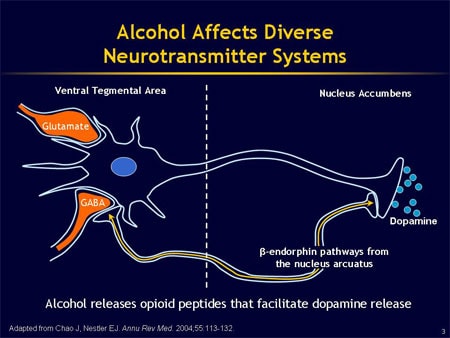 Neurobiology and Pharmacotherapy for Alcohol Dependence: Treatment Options