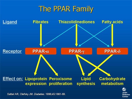 Strategies in Normalizing Glycemia: The Pathophysiologic Basis