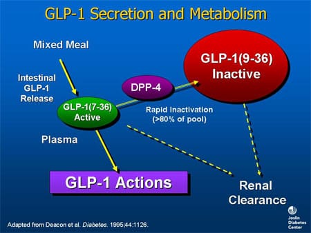 Strategies in Normalizing Glycemia: The Pathophysiologic Basis