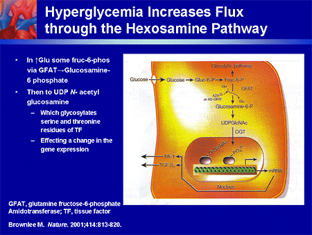 Diabetes as a Cardiovascular Disease Equivalent