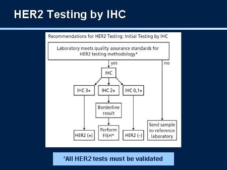 NCCN Breast Cancer Guidelines Update (Slides with Transcript)
