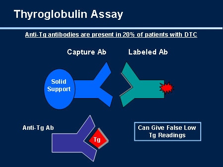 NCCN Thyroid Carcinoma Guidelines Update (Slides with Transcript)