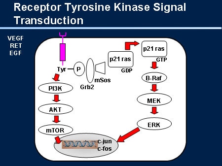 NCCN Thyroid Carcinoma Guidelines Update (Slides with Transcript)