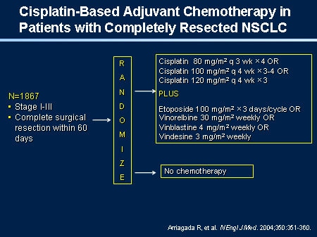 NCCN Non-Small Cell Lung Cancer Guidelines Update (Slides with Transcript)