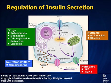 Inhaled Insulin: Pulmonary Considerations (Slides with Transcript)