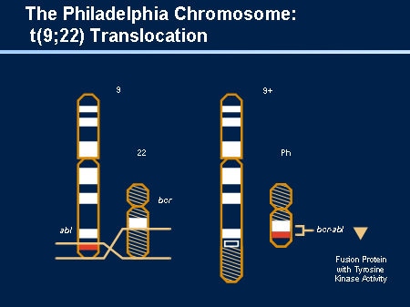 Advances in the Treatment of Chronic Myelogenous Leukemia (Slides with ...