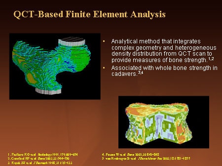 Going Inside and Beyond BMD: New Approaches (Slides with Transcript)