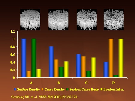 Going Inside and Beyond BMD: New Approaches (Slides with Transcript)