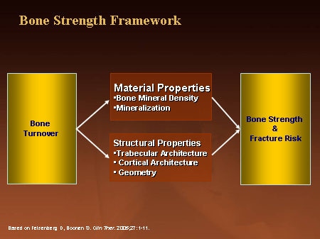 Qualities of Bone and the Effects of Treatment (Slides with Transcript)