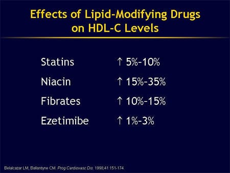 Treating Mixed Dyslipidemia: Can This Clinical Challenge Be Overcome ...