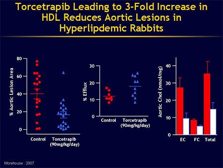 Emerging New Paradigms With HDL-Based Therapeutics (Slides with Transcript)