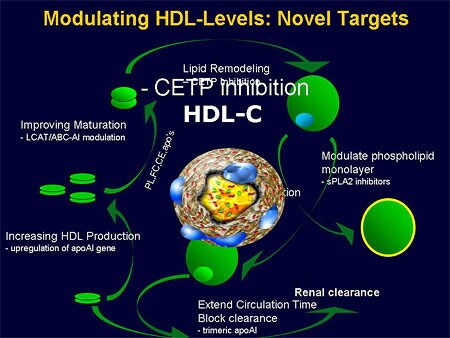 Slide 10. Modulating HDL-Levels: Novel Targets