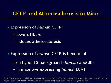 Slide 13. CETP and Atherosclerosis in Mice