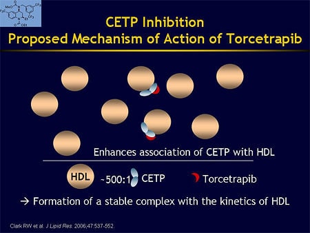 Slide 22. CETP Inhibition: Proposed Mechanism of Action of Torcetrapib