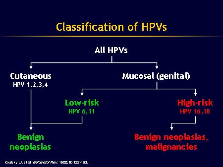 Disease Burden and Health Consequences of HPV Infection (Slides with ...