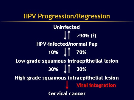 Disease Burden and Health Consequences of HPV Infection (Slides with ...