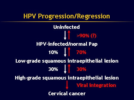 Disease Burden and Health Consequences of HPV Infection (Slides with ...