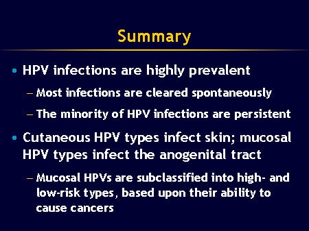 Disease Burden and Health Consequences of HPV Infection (Slides with ...