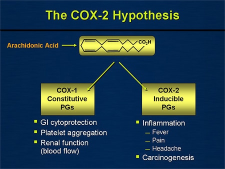 Balancing Gastro-Protective Effects With Cardiovascular Risk