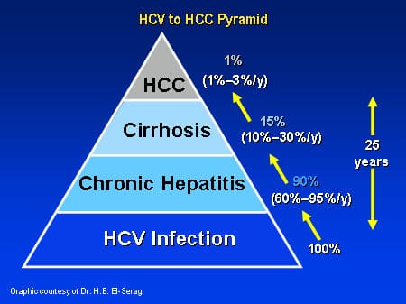 The Handwriting on the Wall: The Increasing Challenge of HCV Disease ...