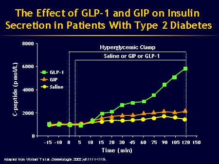 Biologic Effects of Incretin Hormones on Islet Cell Function and ...