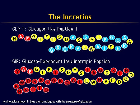 Biologic Effects of Incretin Hormones on Islet Cell Function and ...