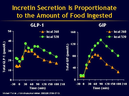 Biologic Effects of Incretin Hormones on Islet Cell Function and ...