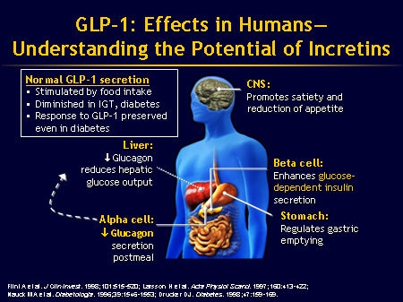 Biologic Effects of Incretin Hormones on Islet Cell Function and ...