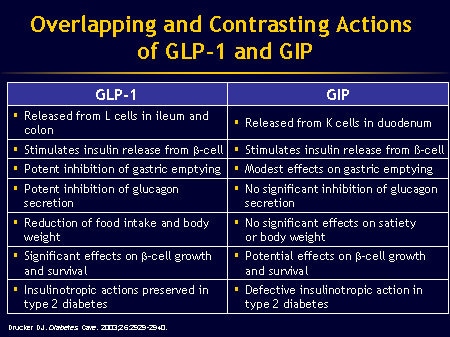 Biologic Effects of Incretin Hormones on Islet Cell Function and ...