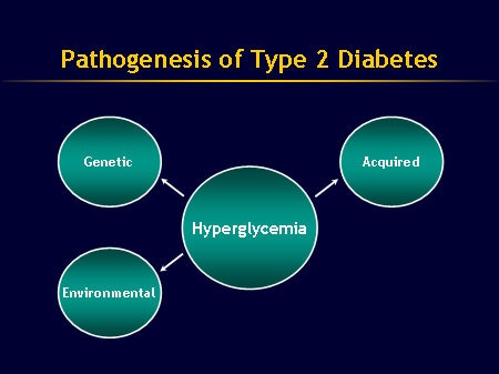 Reexamining the Multifaceted Defects Underlying the Pathophysiology of ...