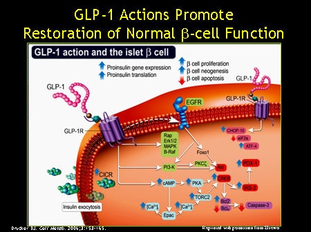 Welcome and Introduction (Slides with Transcript)