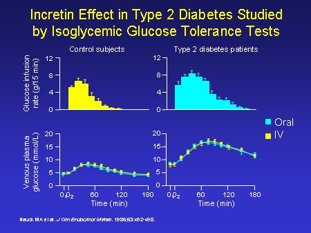 The Physiology and Pharmacology of Incretins: a Closer Look at These ...
