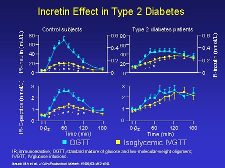 The Physiology and Pharmacology of Incretins: a Closer Look at These ...