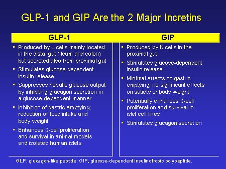 The Physiology and Pharmacology of Incretins: a Closer Look at These ...