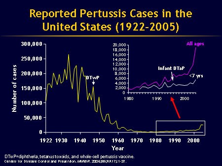 Use of Tdap and Pneumococcal Vaccines in Older Adults (Slides with ...