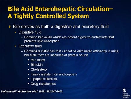 Pathophysiology of Diabetes and Dyslipidemia: New Perspectives on Old ...