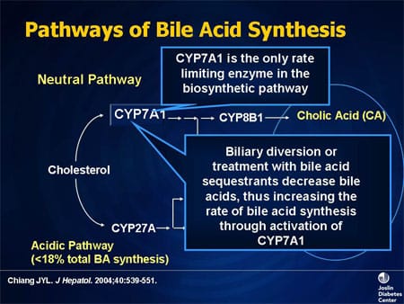 Pathophysiology of Diabetes and Dyslipidemia: New Perspectives on Old ...