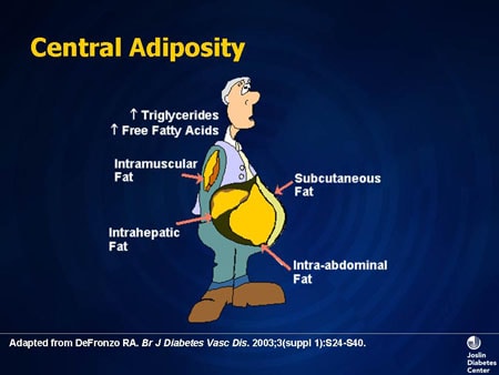 Pathophysiology of Diabetes and Dyslipidemia: New Perspectives on Old ...