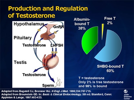Hypogonadism and Type 2 Diabetes: Relationships and Clinical Perspectives