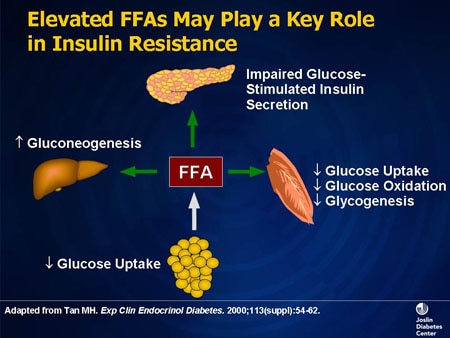 Insulin Therapy of Diabetes: Pathophysiology and Indications