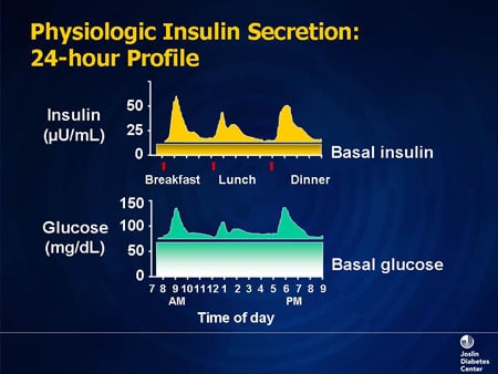 Insulin Therapy of Diabetes: Pathophysiology and Indications