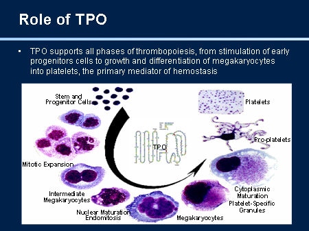 Blood Products and Growth Factors in the Treatment of Thrombocytopenia ...