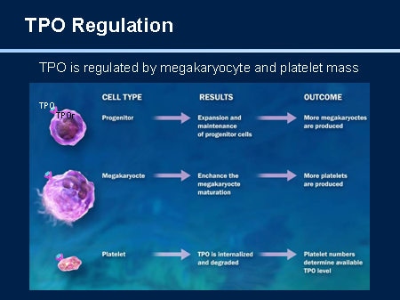 Blood Products and Growth Factors in the Treatment of Thrombocytopenia ...