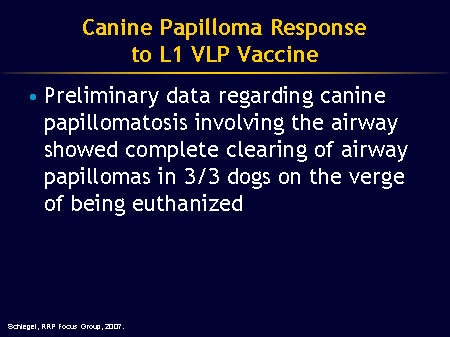 Recurrent Respiratory Papillomatosis: High-Risk Consequences of Low ...